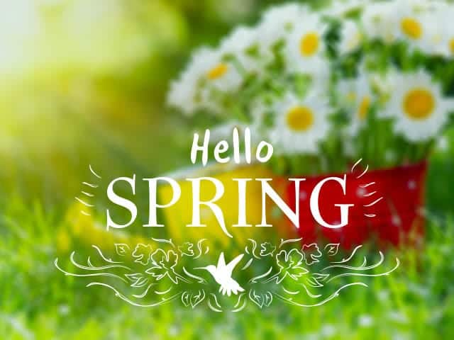 Spring is Now Here? | High Point, NC | Piedmont Plastic Surgery